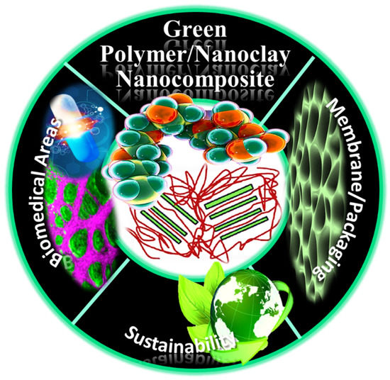 State-of-the-Art Nanoclay Reinforcement in Green Polymeric ...