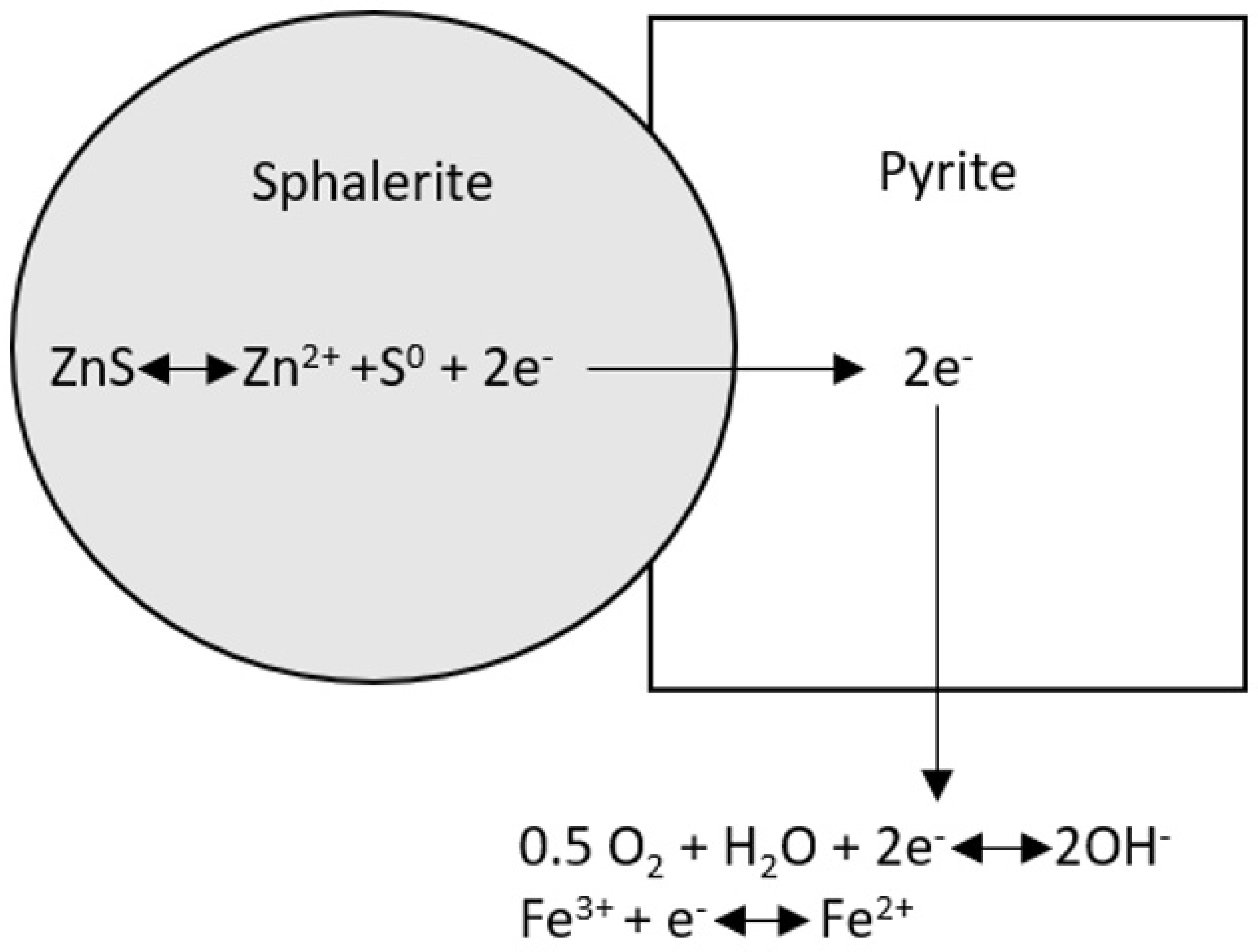 Investigating the Influence of the Electrochemical Environment on the ...