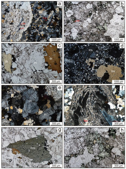 Magmatic Processes of Granitoids in the Hongniu-Hongshan Porphyry-Skarn ...