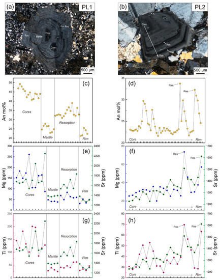 Magmatic Processes of Granitoids in the Hongniu-Hongshan Porphyry-Skarn ...
