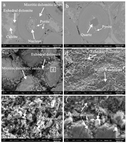 Origin of the Dolomitic Ooids Formed in the Pliocene Shizigou Formation ...