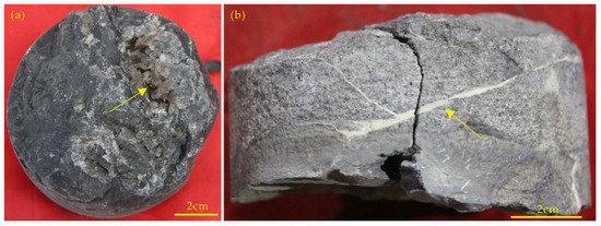 Characteristics and Controlling Factors of Natural Fractures in ...