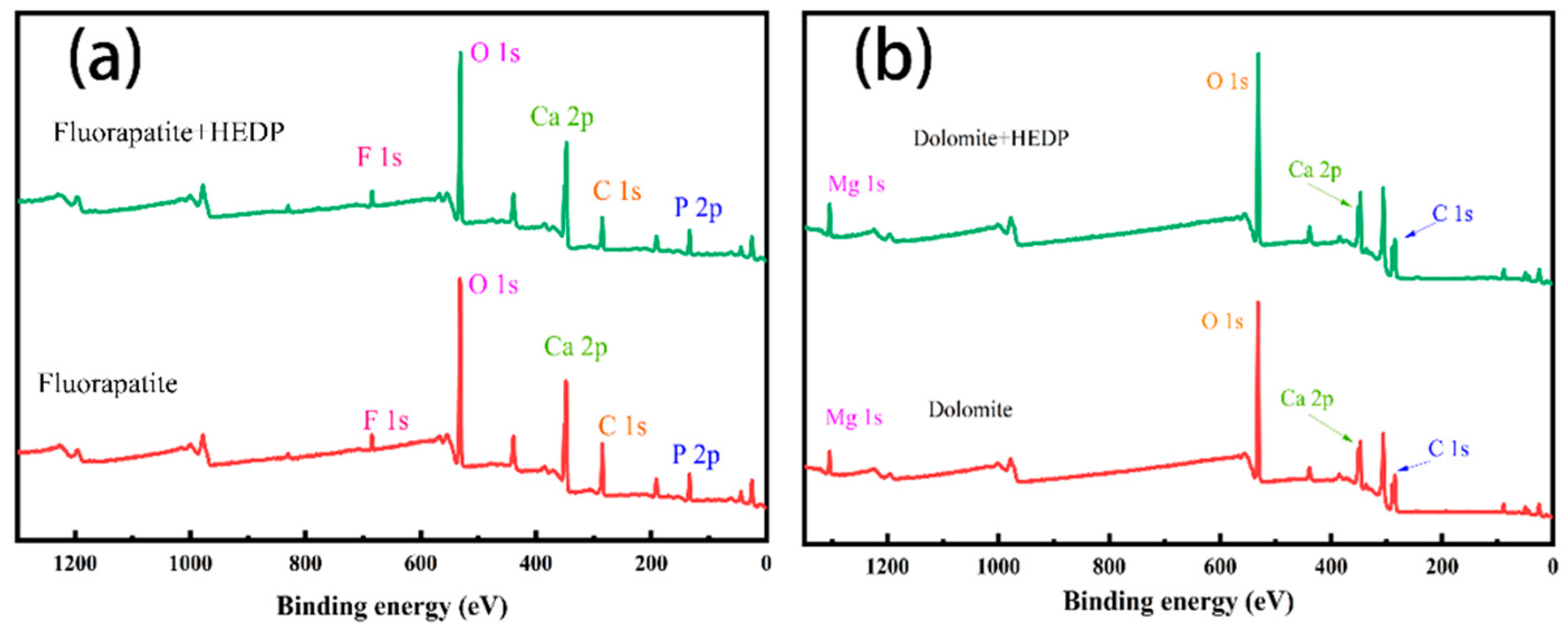 Selective Flotation Behavior of Dolomite from Fluorapatite Using ...