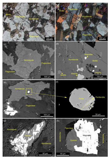 Minerals | Free Full-Text | Petrogenesis of the Wadi El-Faliq Gabbroic ...