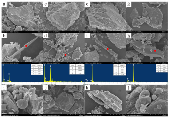 The Effect of Silicon-Containing Minerals on Coal Evolution at High ...