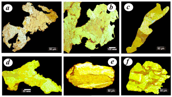 Minerals | Free Full-Text | Internal Structures of Placer Gold as an ...