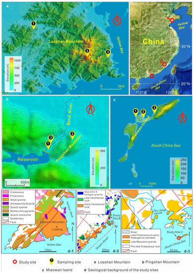 Mineral Weathering and Element Migration in Granite Weathering Pits ...