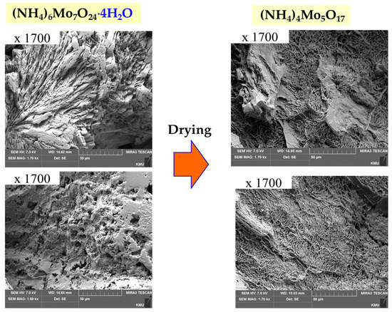 The Self-Reduction during the Thermal Decomposition of an Ammonium ...