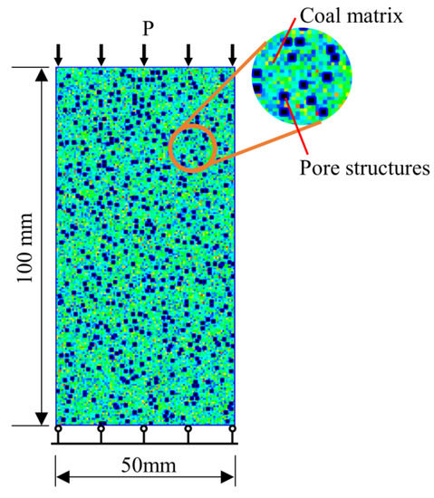 Numerical Simulation Study of the Effect of Fine View Pore Structure on ...