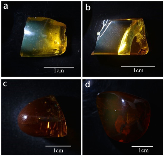 Spectral Characteristics of Unique Species of Burmese Amber