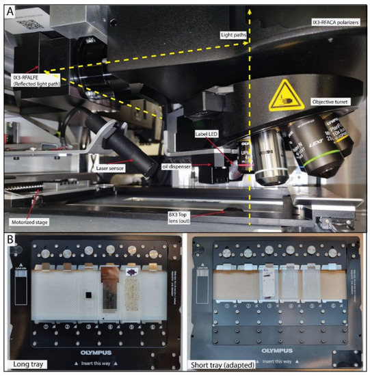 Minerals | Free Full-Text | Petrographic Microscopy with Ray Tracing ...