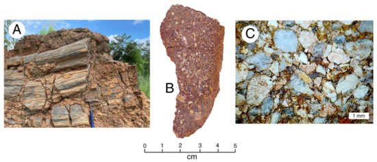Silicification of Wood: An Overview