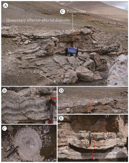 Geochemical Characterization of Laminated Crystalline Crust Travertines ...