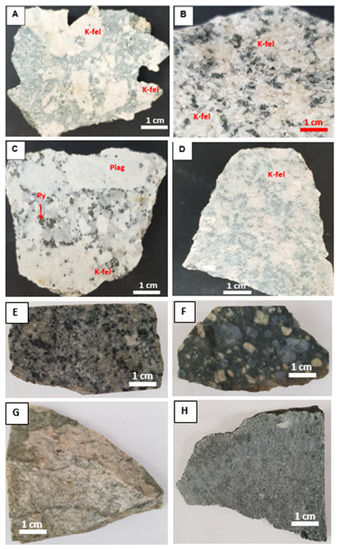 U-Pb Dating, Lead Isotopes, and Trace Element Composition of Pyrite Hosted in Black Shale and ...