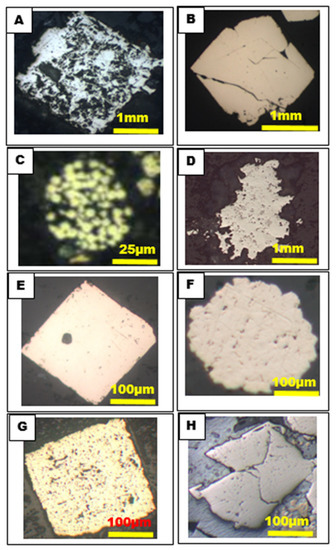 U-Pb Dating, Lead Isotopes, and Trace Element Composition of Pyrite Hosted in Black Shale and ...