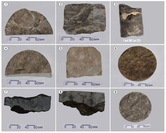 Results of the Study of Epigenetic Changes of Famennian–Tournaisian ...