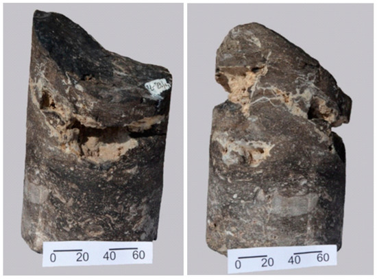 Results of the Study of Epigenetic Changes of Famennian–Tournaisian ...