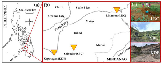 Evaluation of Linamon Red Clay, Salvador Black Cinder and Kapatagan ...
