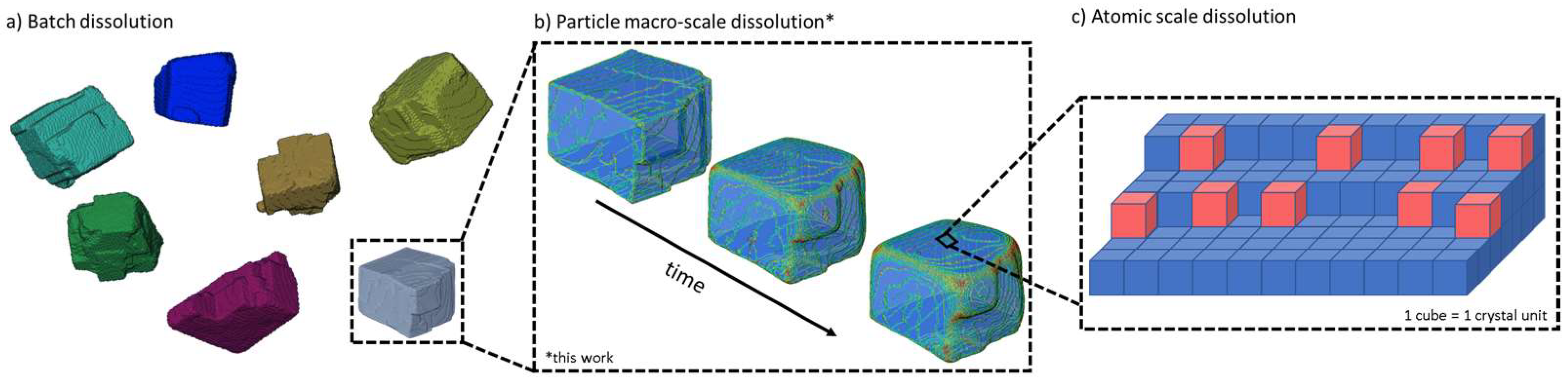 The Effect of Macroscopic Particle Features on Mineral Dissolution