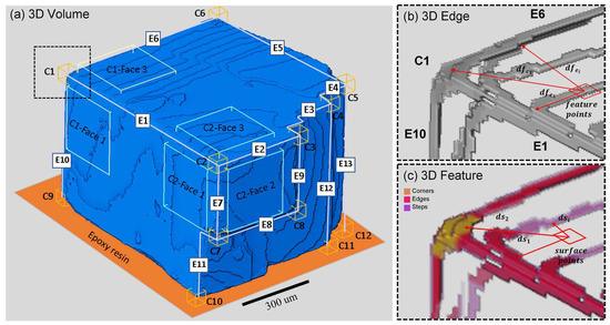 The Effect of Macroscopic Particle Features on Mineral Dissolution