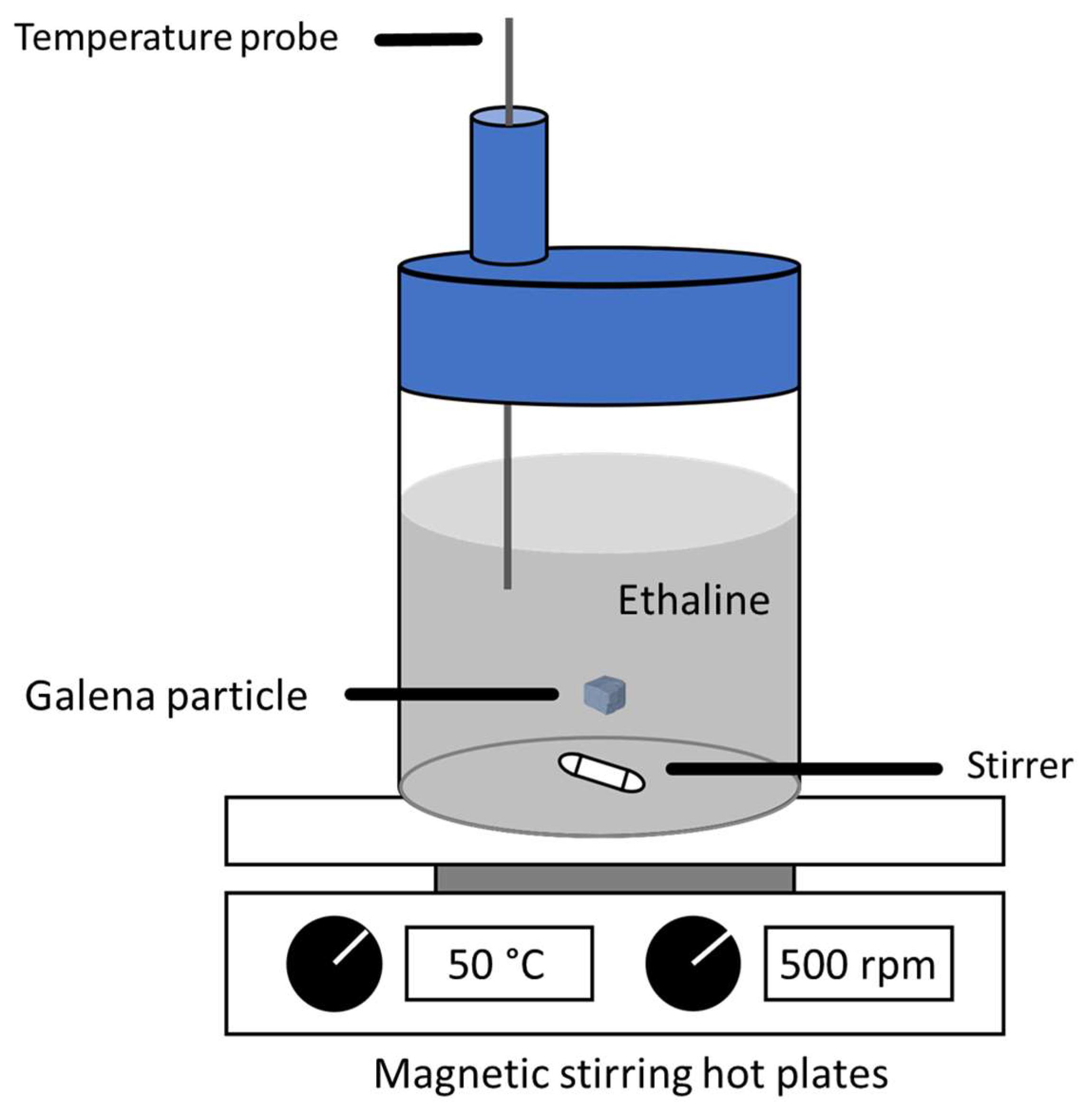 The Effect of Macroscopic Particle Features on Mineral Dissolution