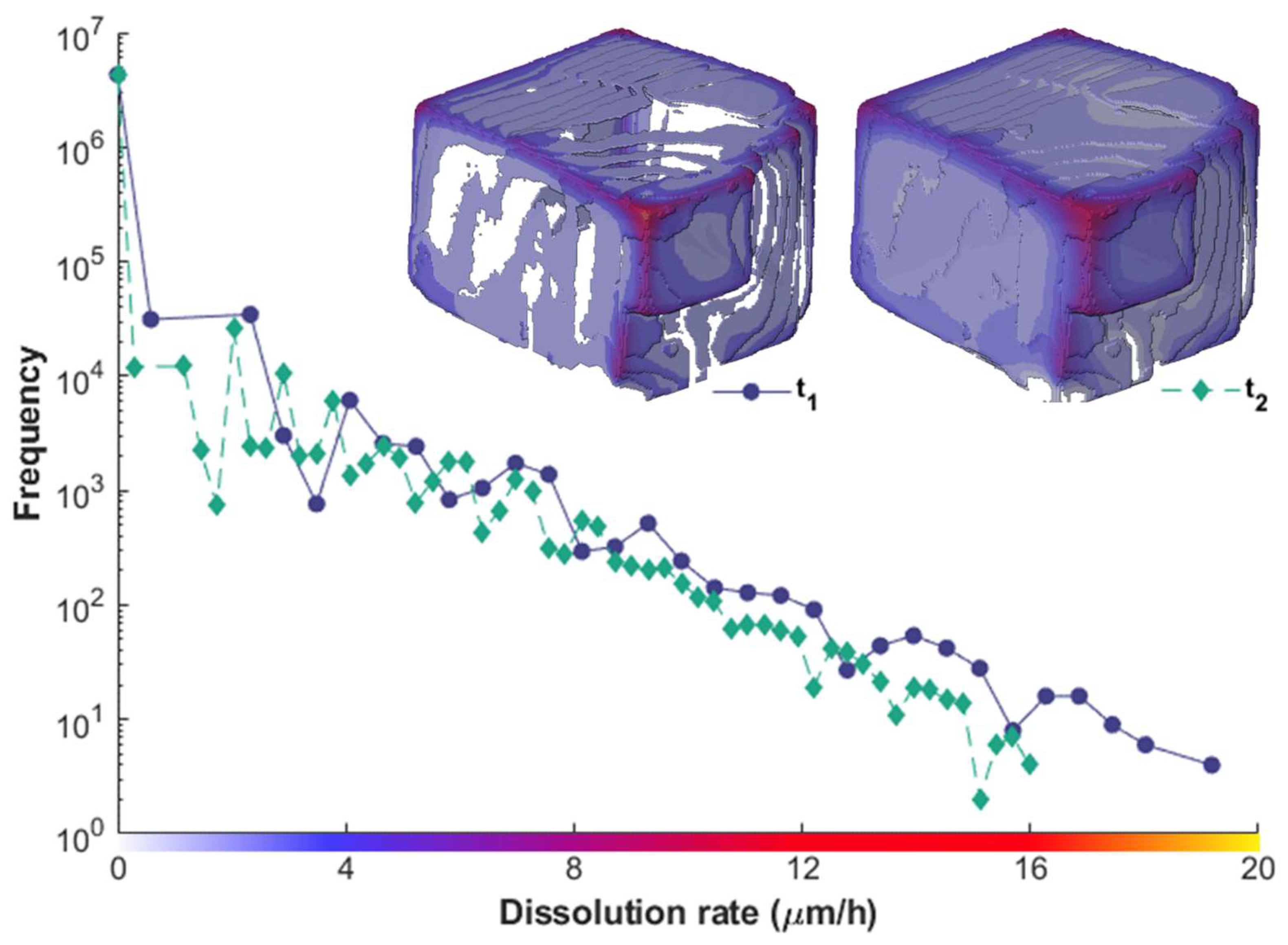 The Effect of Macroscopic Particle Features on Mineral Dissolution