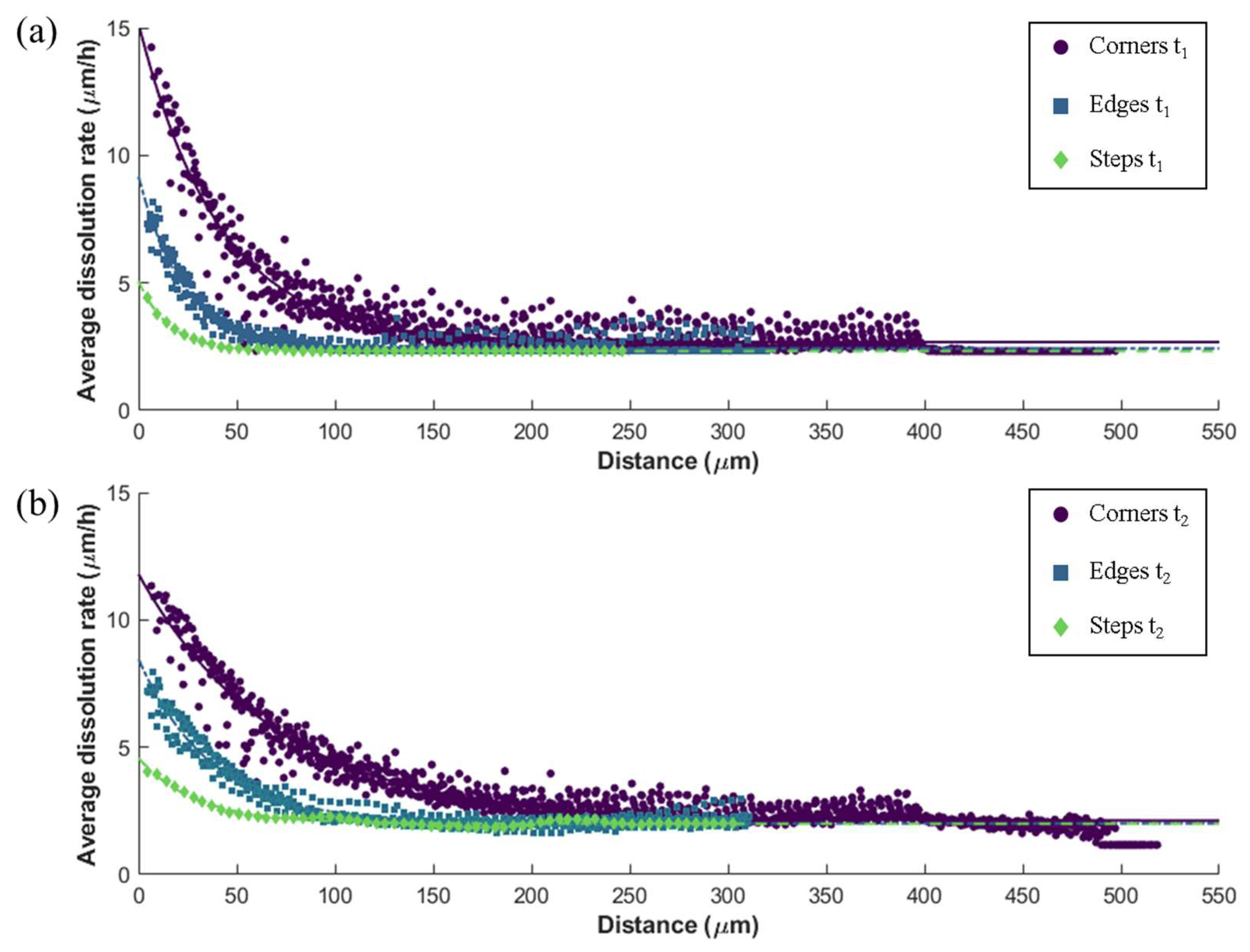 The Effect of Macroscopic Particle Features on Mineral Dissolution