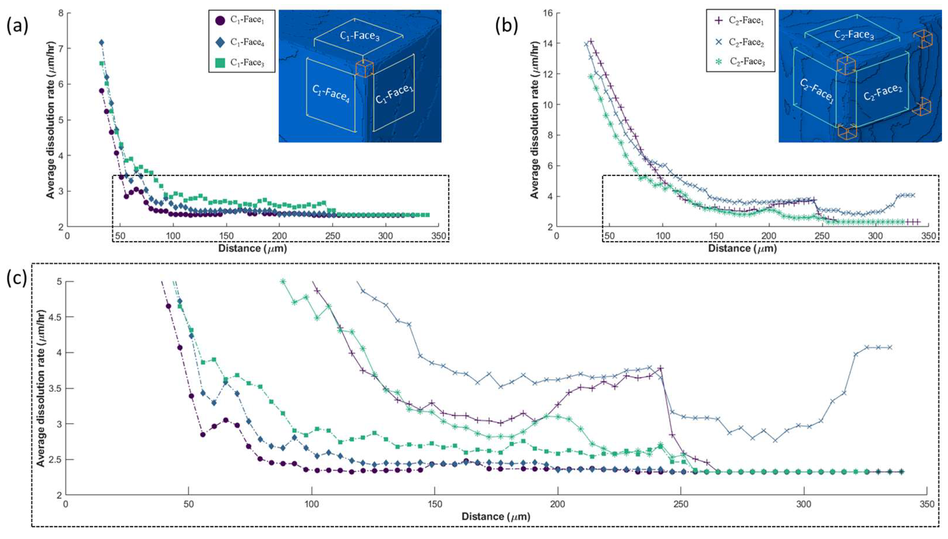 The Effect of Macroscopic Particle Features on Mineral Dissolution