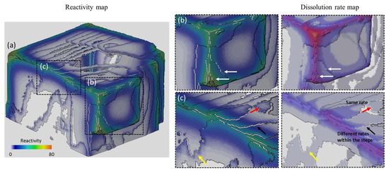 The Effect of Macroscopic Particle Features on Mineral Dissolution