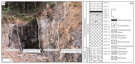 Mineralogical and Geochemical Constraints on the Occurrence Forms of ...