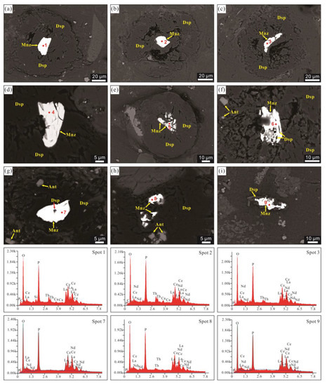 Mineralogical and Geochemical Constraints on the Occurrence Forms of ...