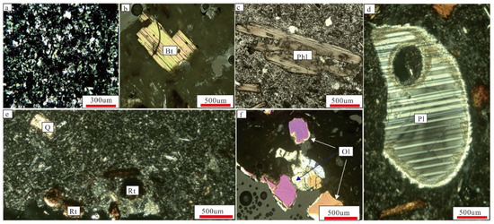 High Degree of Differentiation and Enrichment of Li, Rb and Cs in ...