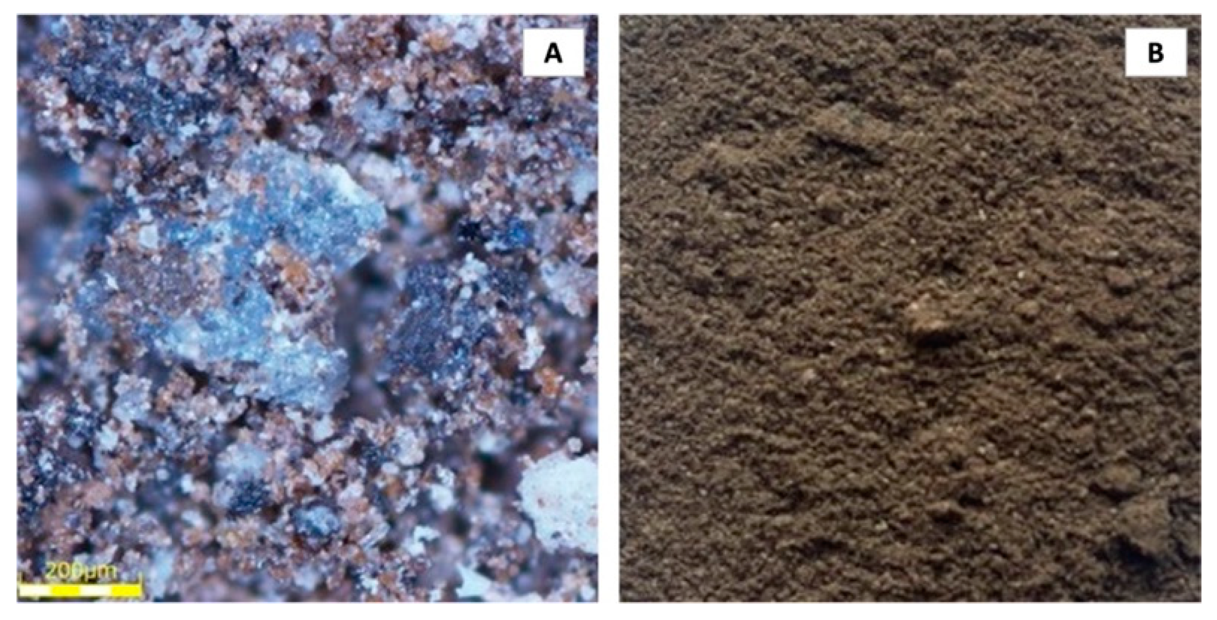 The Corrosion Effect of Fly Ash from Biomass Combustion on Andalusite ...