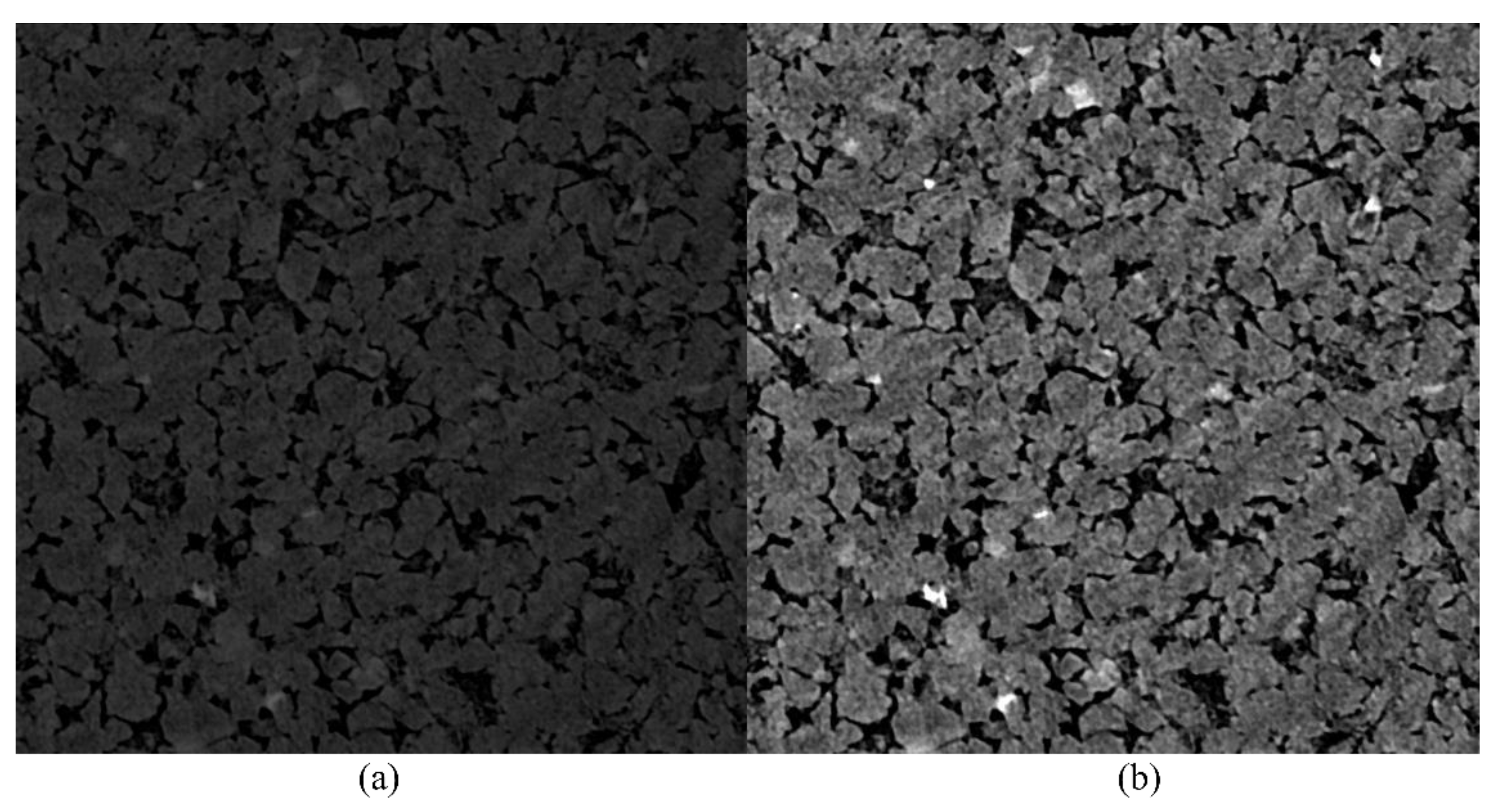 Probing the Pore Structure of the Berea Sandstone by Using X-ray Micro-CT in Combination with ...