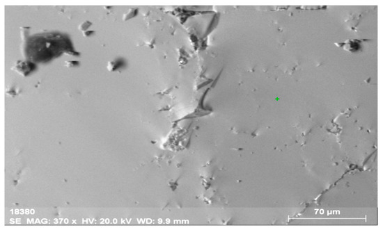 Content and Forms of Radioactive Elements in Orthite (Allanite)