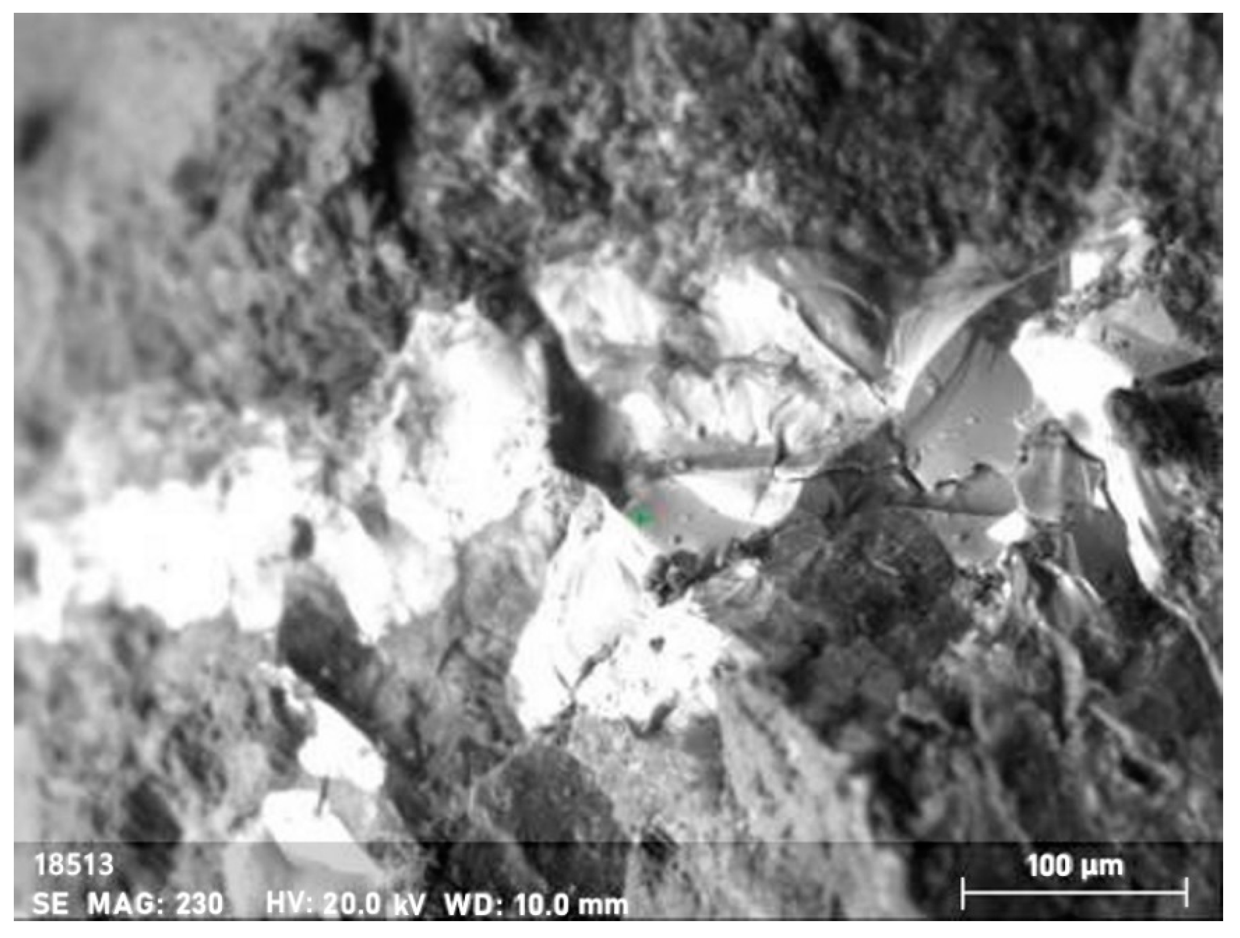 Content and Forms of Radioactive Elements in Orthite (Allanite)