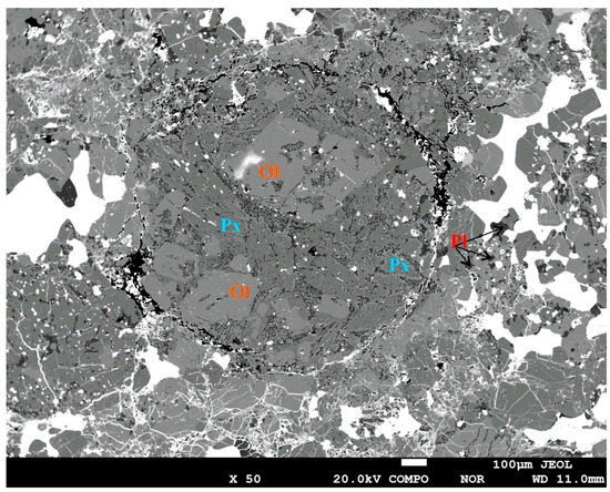 Trace Elements in Silicate Minerals of the Kargapole Meteorite