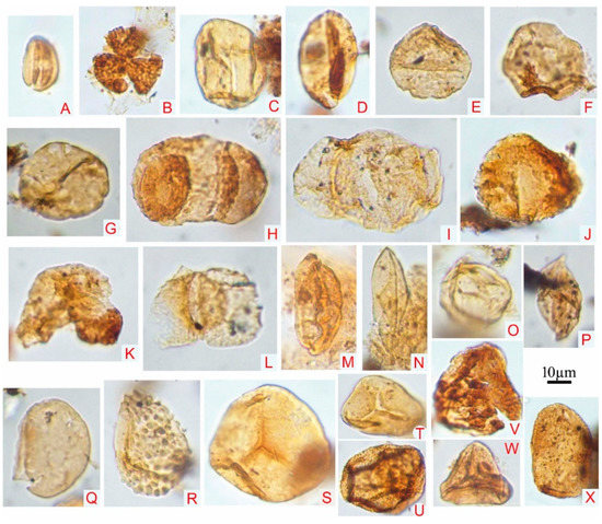 Middle-Late Eocene Climate in the Pearl River Mouth Basin: Evidence ...
