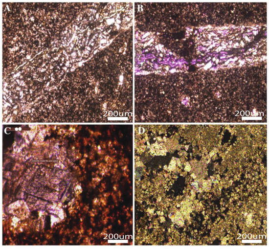 The Impact of Hydrothermal Fluids on Porosity Enhancement and ...
