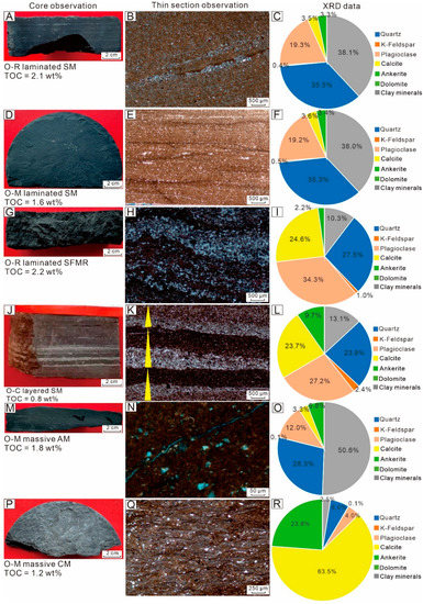 Lithofacies and Shale Oil Potential of Fine-Grained Sedimentary Rocks ...
