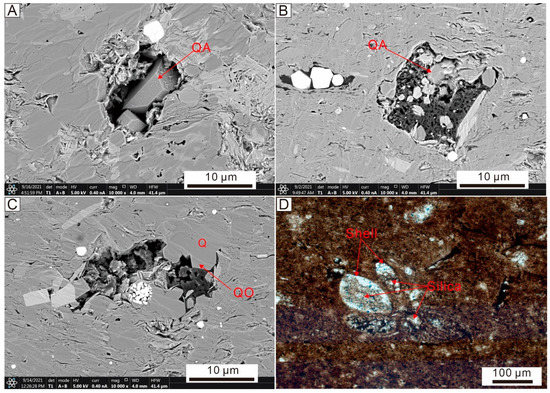 Lithofacies and Shale Oil Potential of Fine-Grained Sedimentary Rocks ...