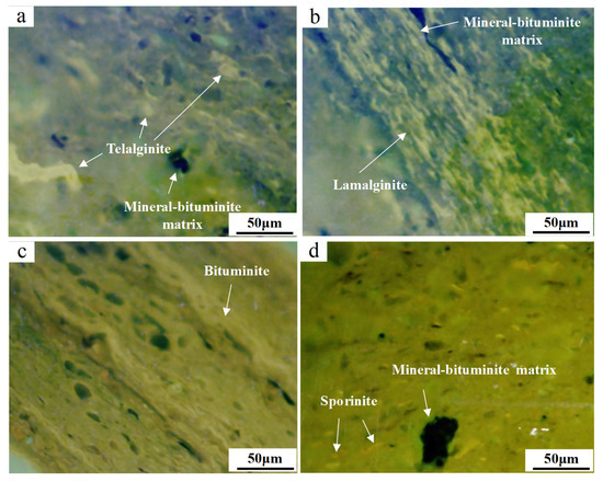 A Data-Driven Approach to the Unified Evaluation of Conventional and ...