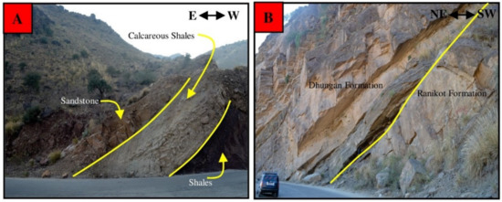 The Early Paleocene Ranikot Formation, Sulaiman Fold-Thrust Belt ...