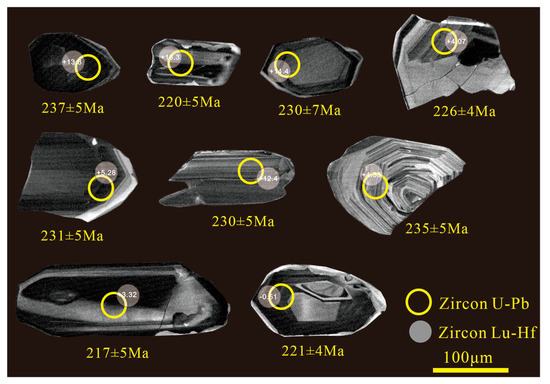 Triassic Appinite from the Qinling Orogen (Central China): Hydrous ...