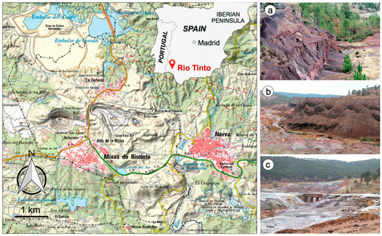 Minerals | Free Full-Text | Soil Contaminated with Hazardous Waste ...
