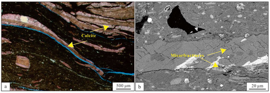 Influencing Factors of the Brittleness of Continental Shales Containing ...