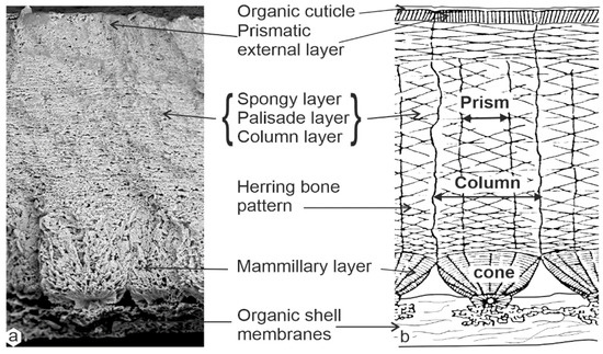 Minerals | Free Full-Text | Integrated Information on the Structure and ...