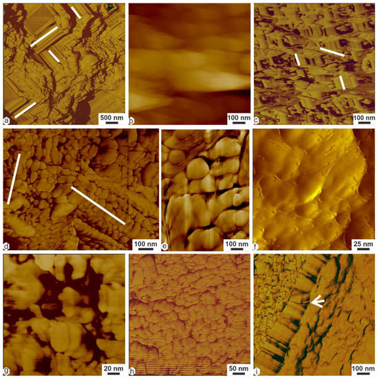 Integrated Information on the Structure and Composition of the Ostrich ...