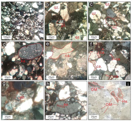 C, N, and P Stoichiometry Characteristics of Fresh and Weathered ...