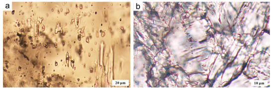 Unique Interstitial Textures within Coarse-Grained Jadeitite from ...